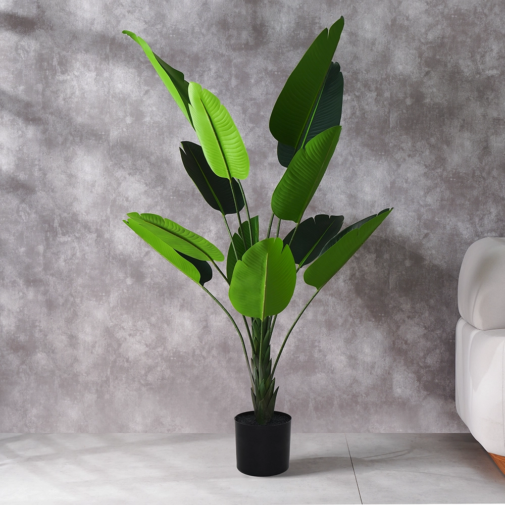 Grevia Banana Tree -160Cm – Royal Furniture
